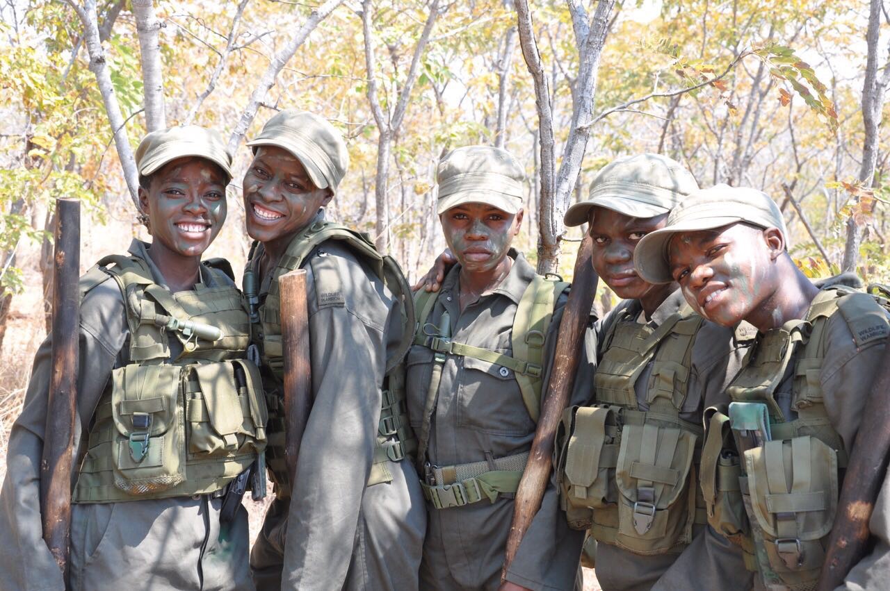 Projects and Grantees – Wildize Foundation
